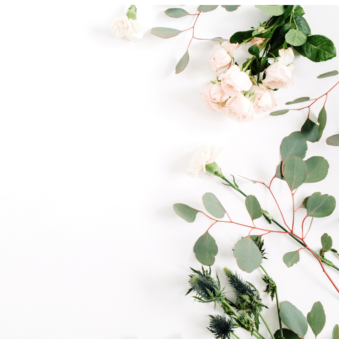 Memberships - Bella Lei